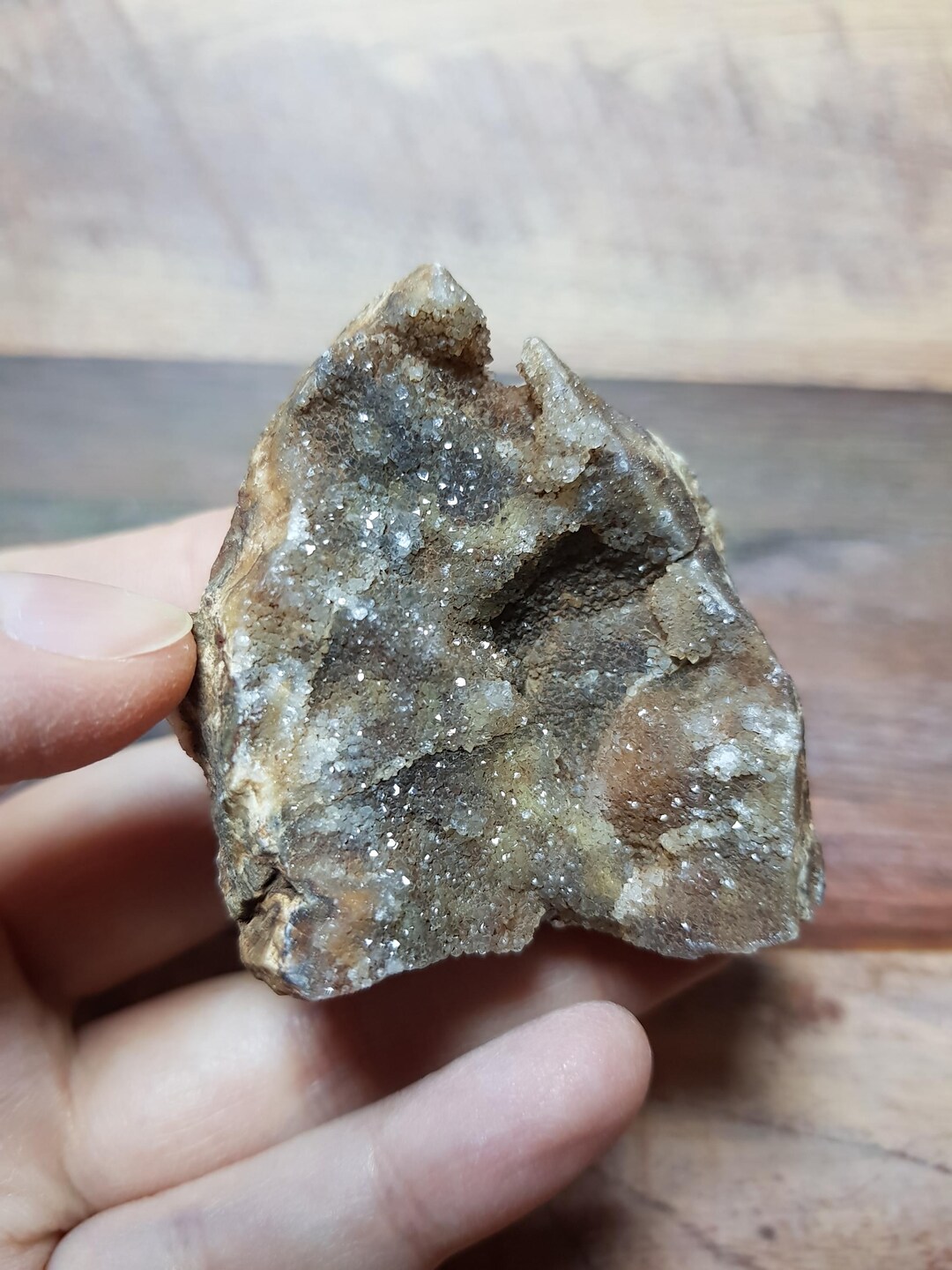Coffee Brown Druzy Chrysoprase (chrome Chalcedony) • Natural Raw ...