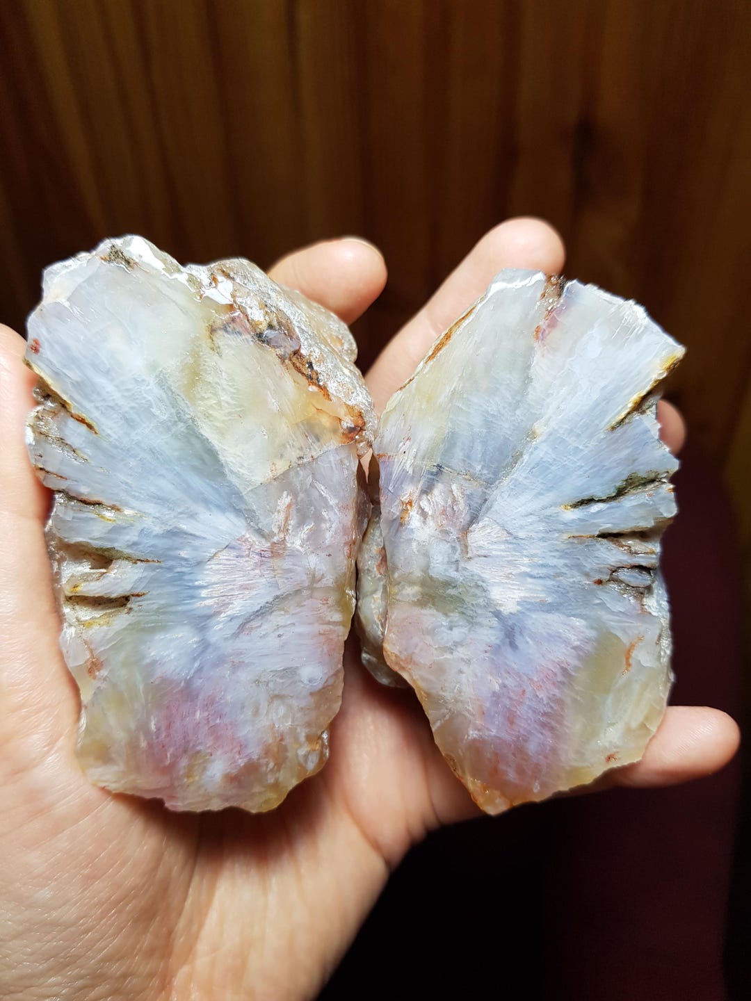 Light Pink and Blue Butterfly Wing Agate - Split and Polished - Etsy