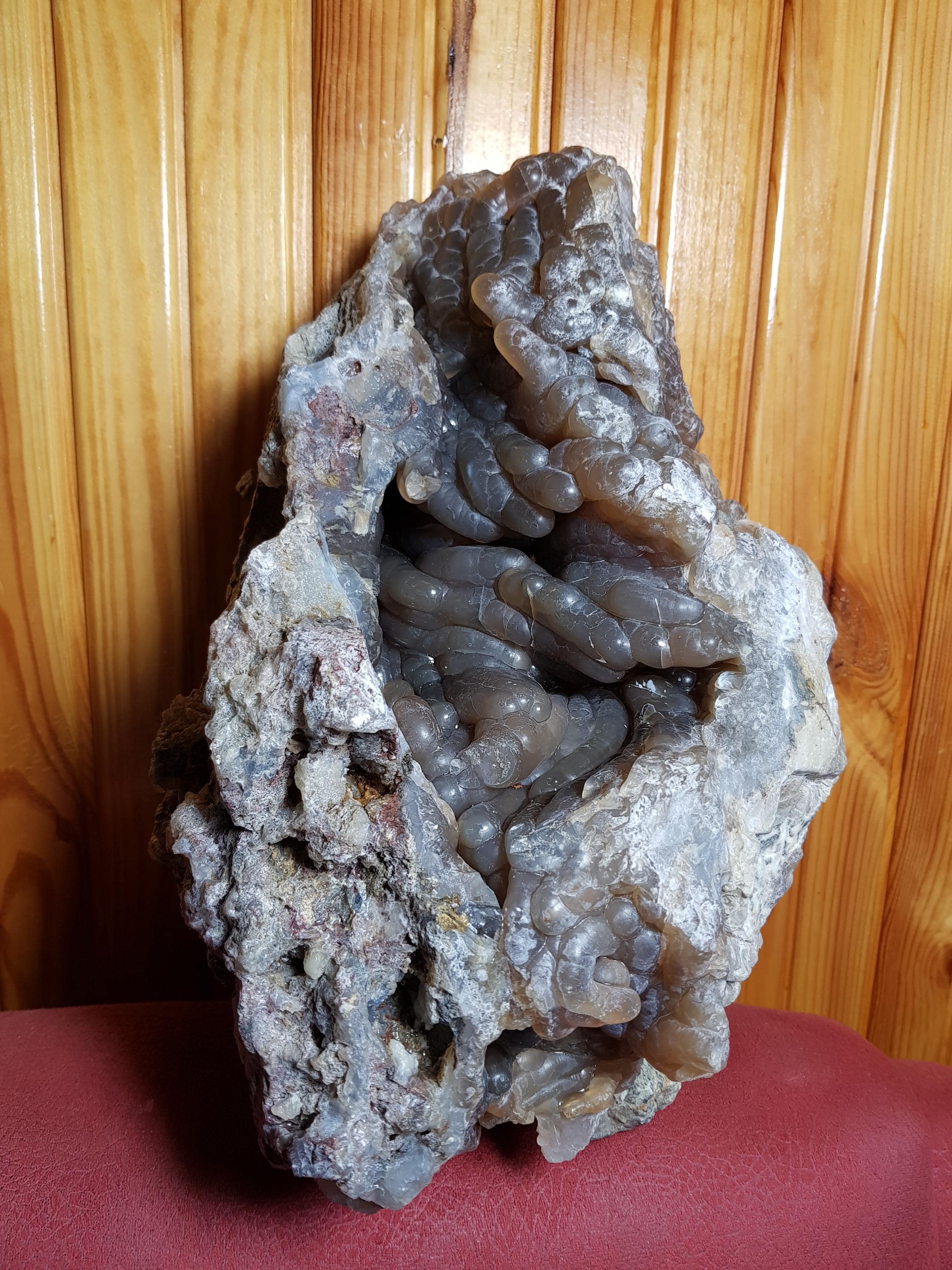 Natural Huge Botryoidal Agate – Dark Honey-colored Raw Formation for ...