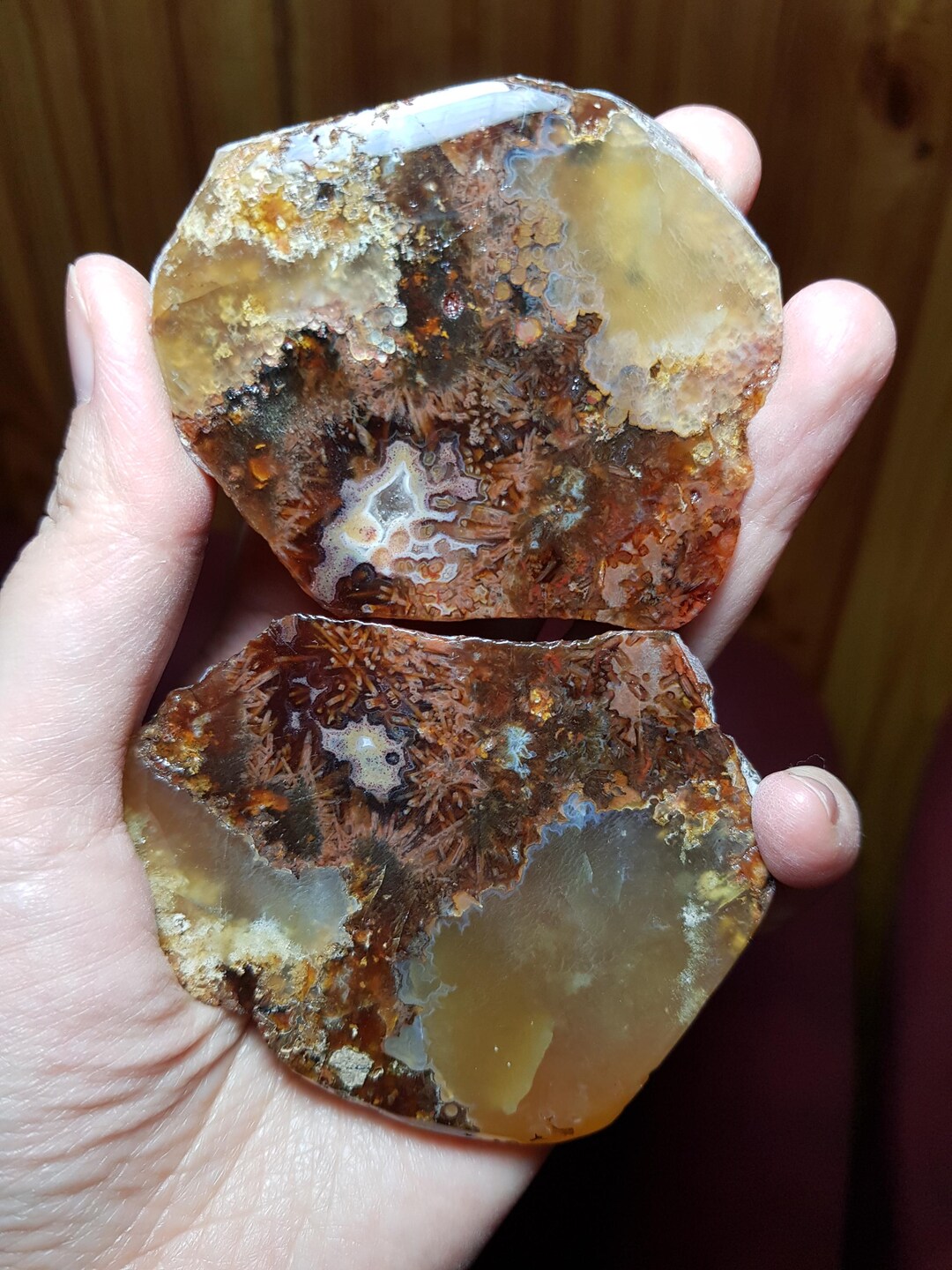 Dark Honey Agate With Redish Sticks - Split and Polished Gemstone ...