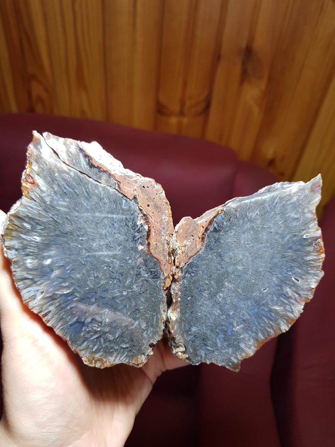 Stellar Burst Stick Agate | Black and Blue Agate With Radiant Sticks ...