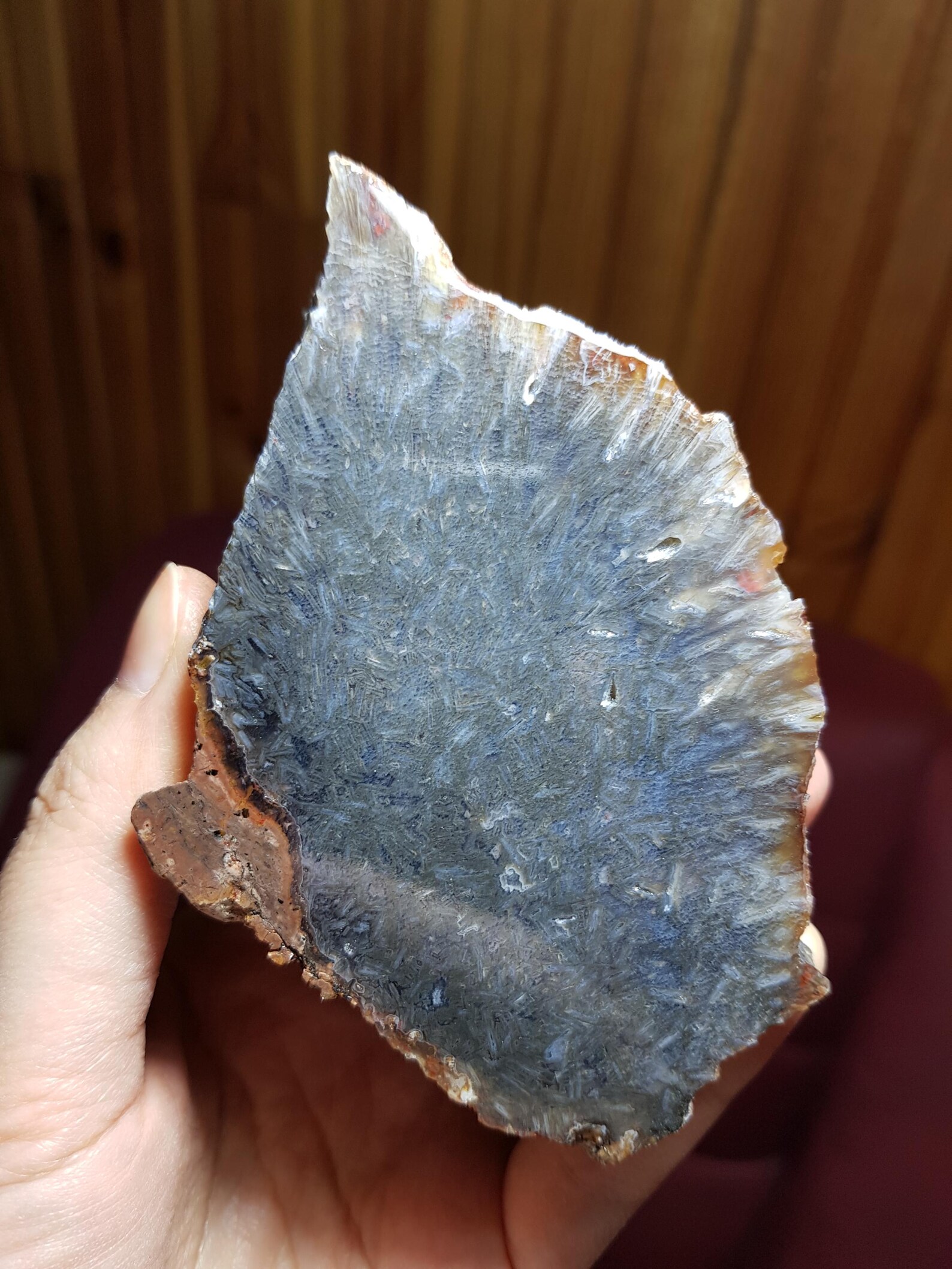 Stellar Burst Stick Agate | Black and Blue Agate With Radiant Sticks ...