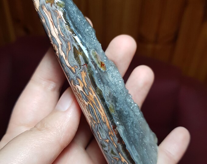Petrified Wood With Druzy Black Amethyst and Colorful Bands, Turkey ...