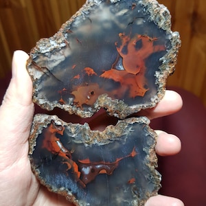 Transparent Agate With Vivid Red Formations in Blackish Transparencies ...