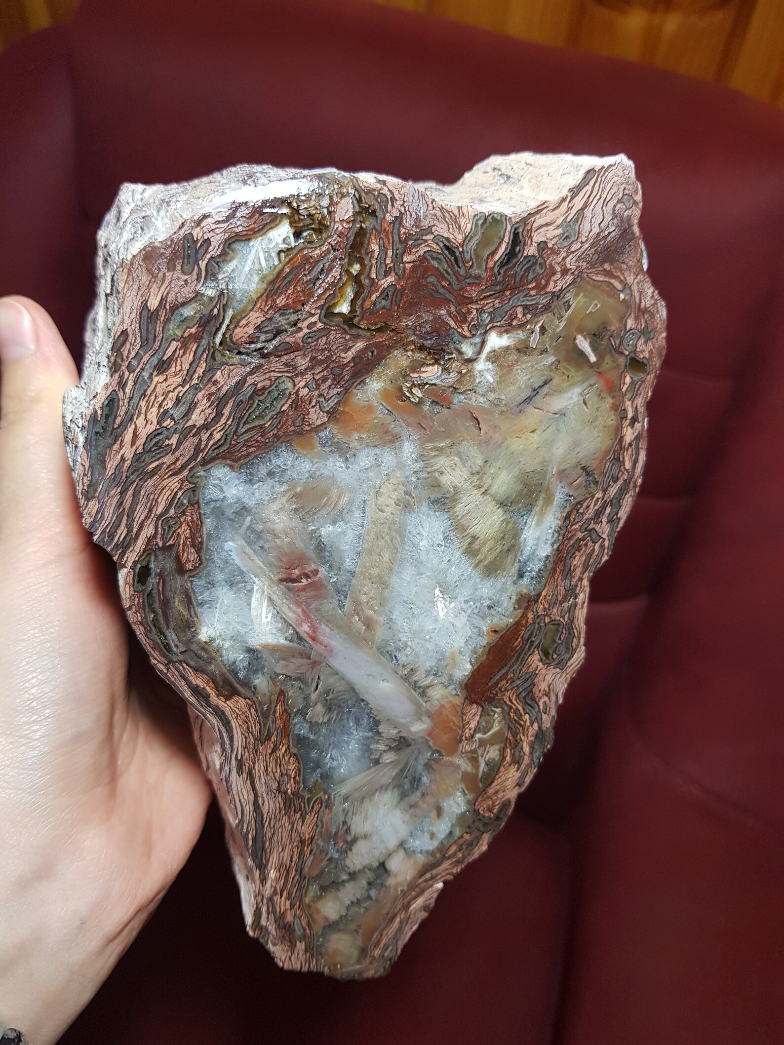 Super Rare Opalized Petrified Wood Decoration Polished Collectable ...