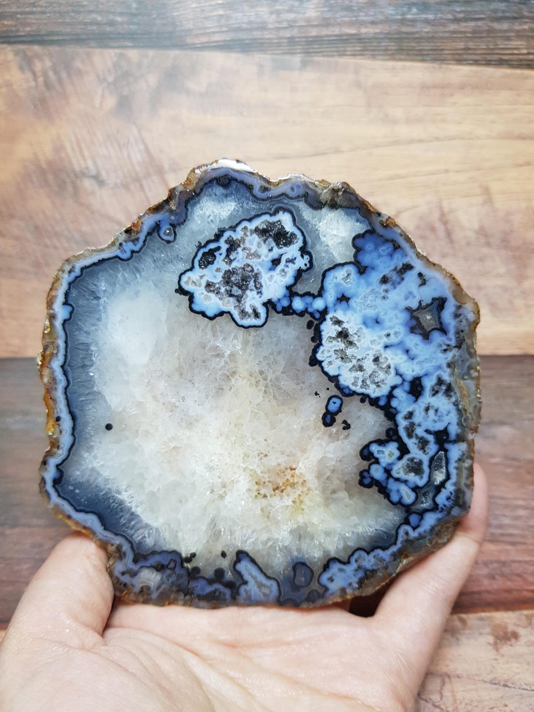 Dendritic Quartz Slice – Aquatic Flower Patterns | Polished Quartz for ...