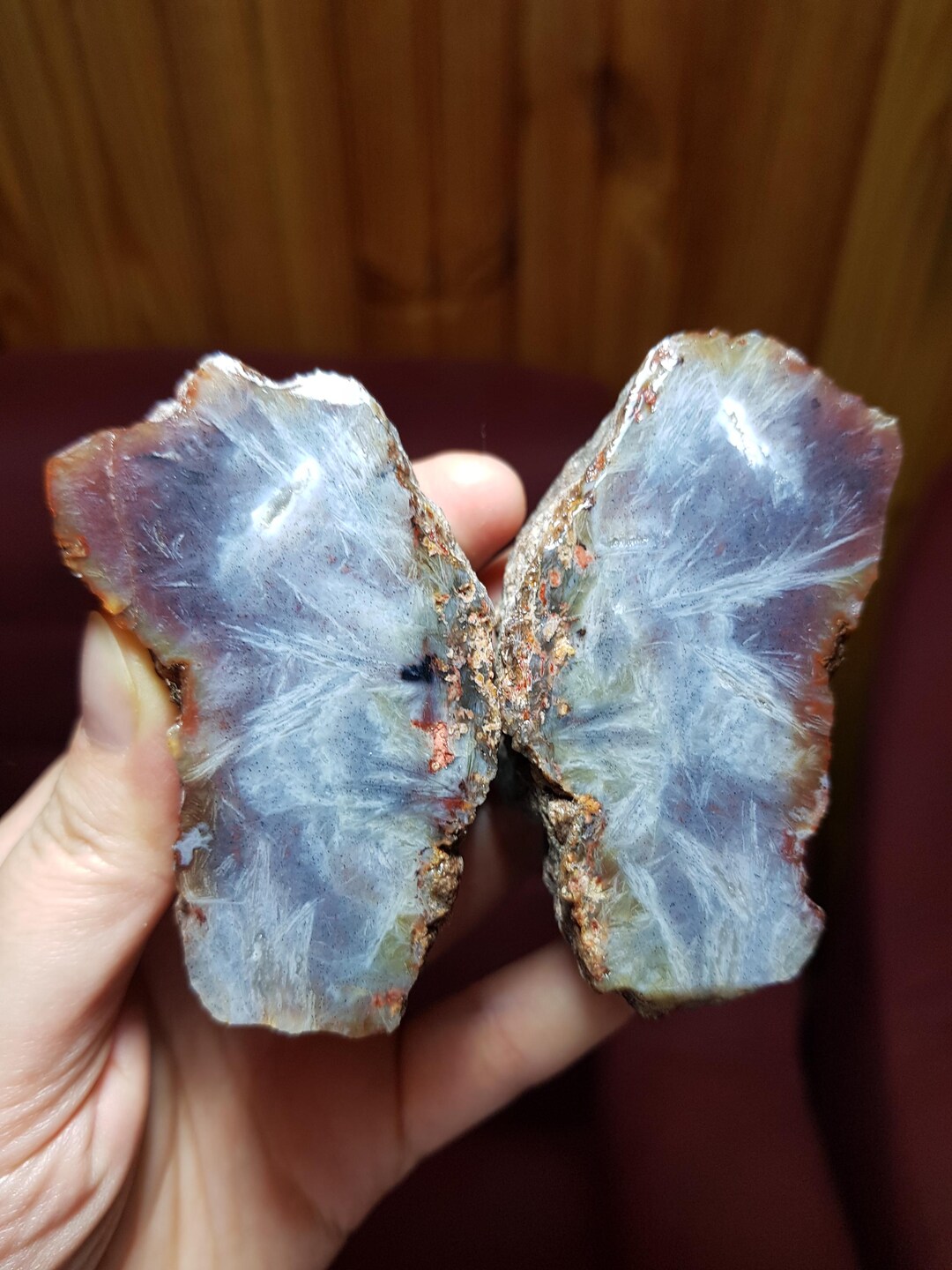 Pink and Blue Butterfly Wing Agate - Split and Polished - Etsy