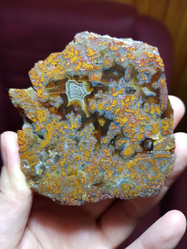 Enchanted Dendrites: Dendritic Honey Opal, Yellow Dendritic Agate Split ...