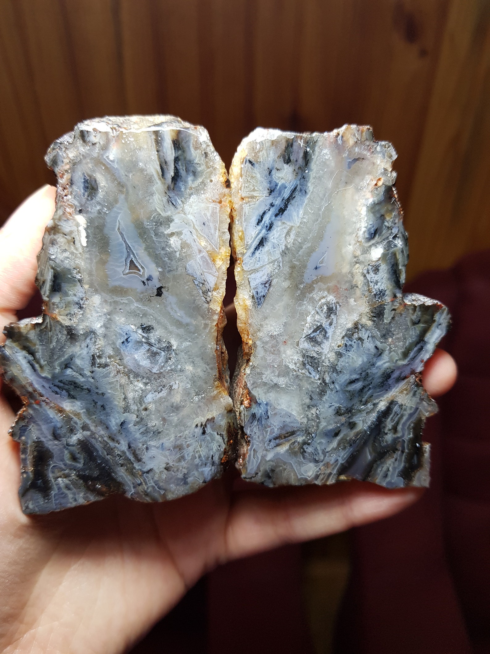 Stellar Burst Stick Agate | Black and Blue Agate With Radiant Sticks ...