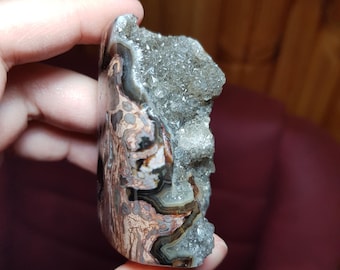 Petrified Wood With Druzy Black Amethyst and Colorful Bands, Turkey ...