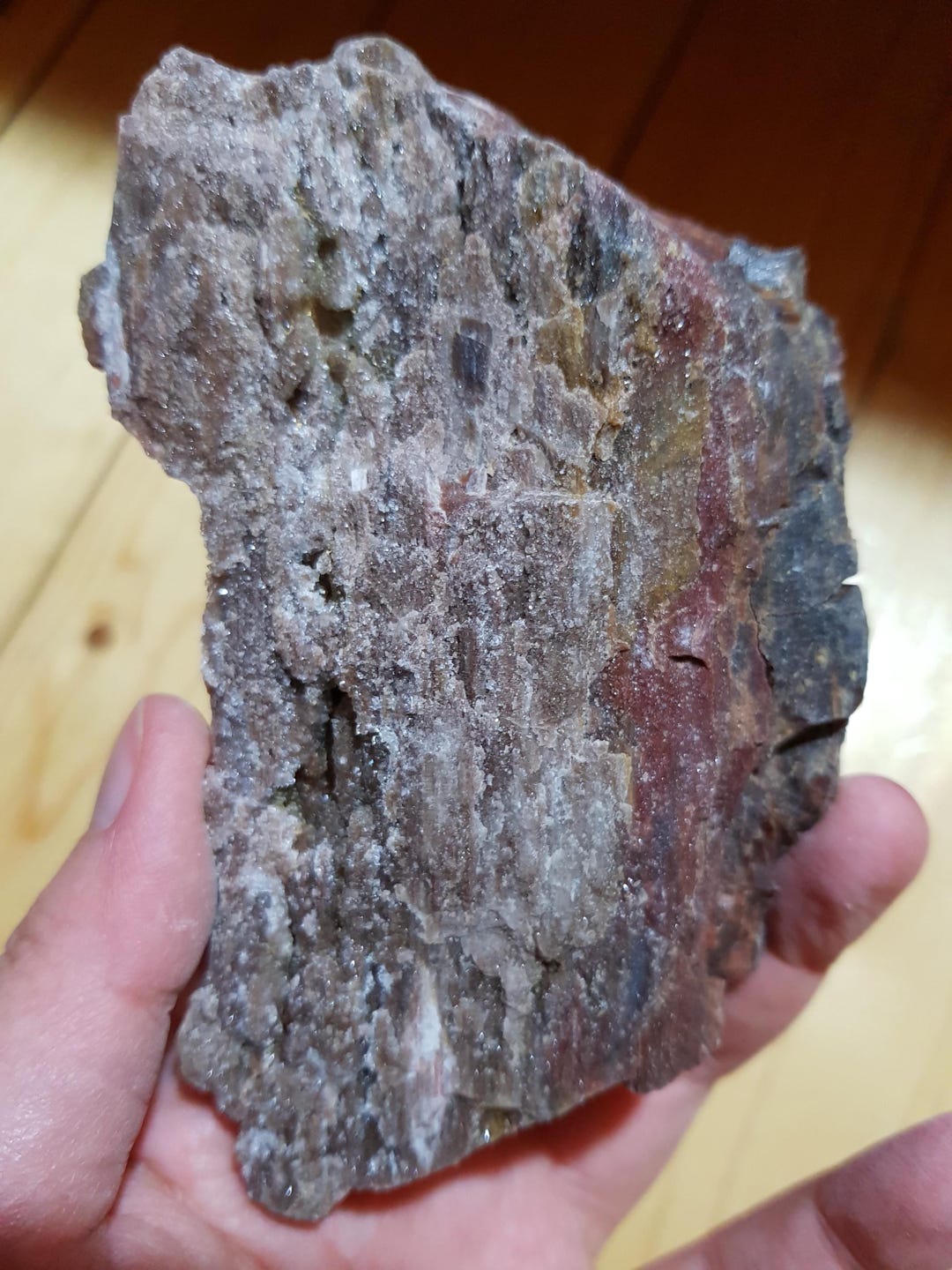 Super Rare Permineralized Wood From Turkey | Colorful Petrified Wood ...