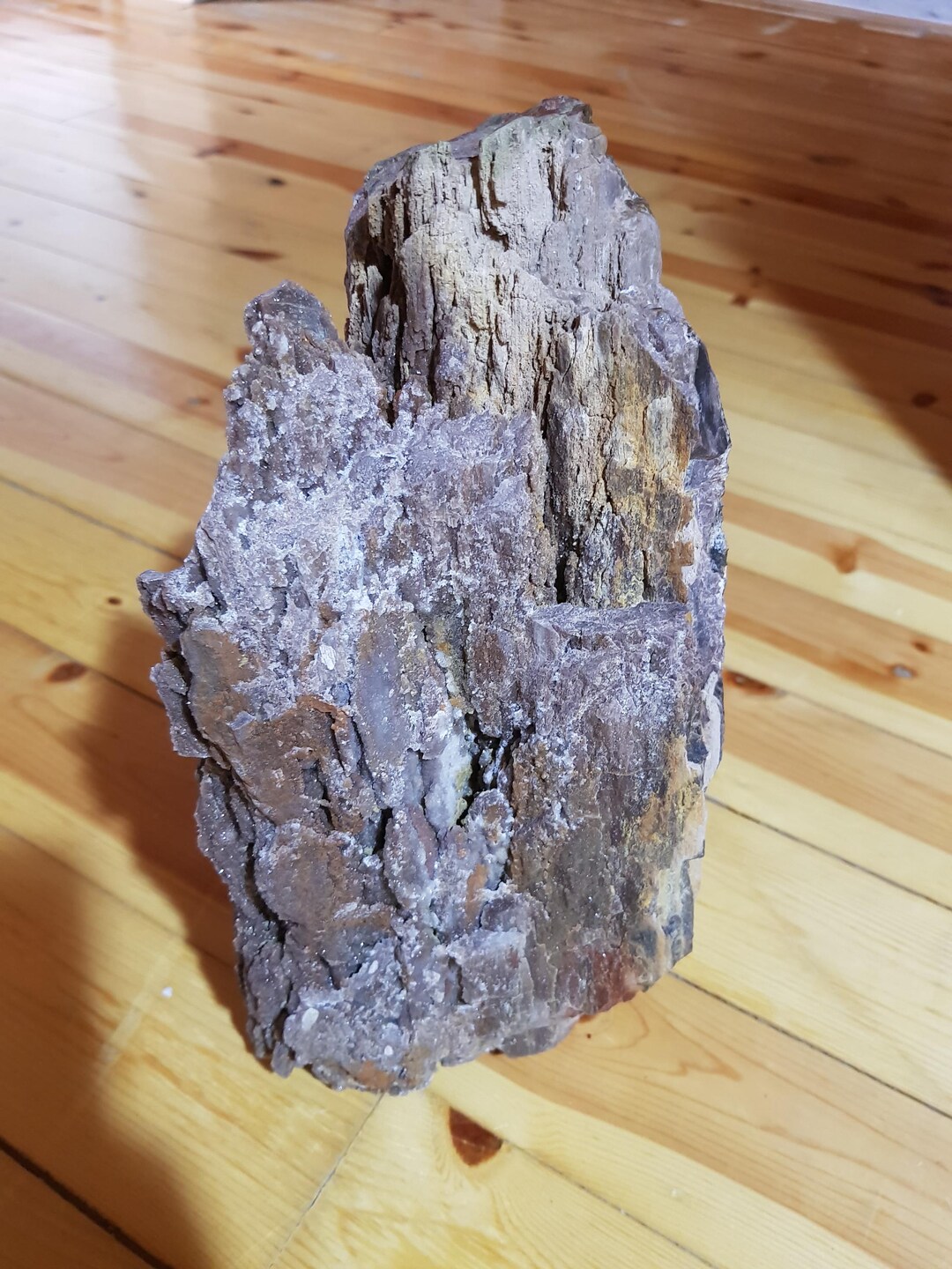 Super Rare Huge Permineralized Wood From Turkey | Rainbow Petrified ...