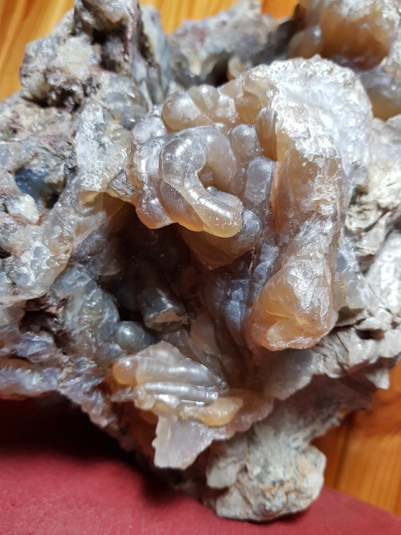 Natural Huge Botryoidal Agate – Dark Honey-colored Raw Formation for ...