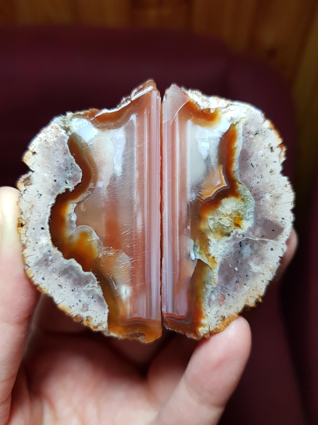 Golden Sun Waterline Agate With Honey to Red Color Transitions ...