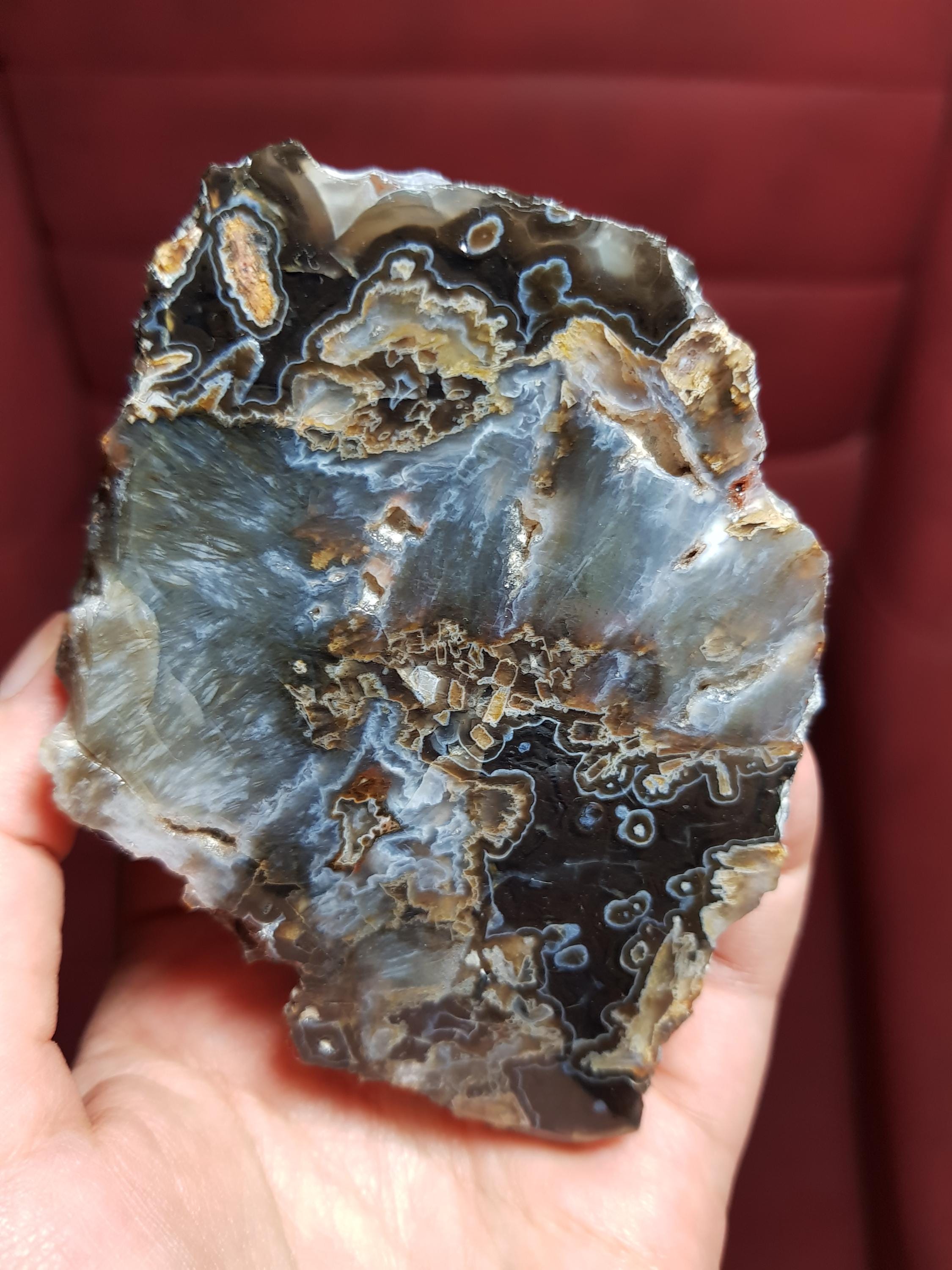 Rare Stick Agate and Black Botryoidal Back | Vibrant Banded Agate Slice ...