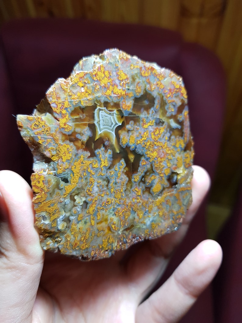 Enchanted Dendrites: Dendritic Honey Opal, Yellow Dendritic Agate Split ...