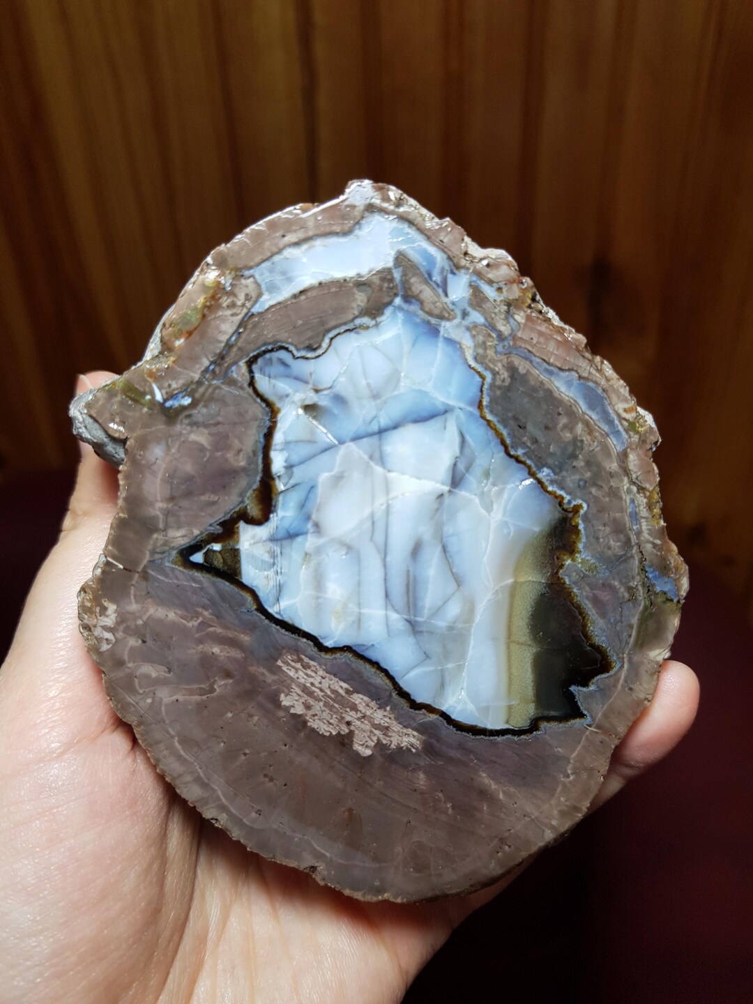 Turkish Blue Thunderegg Agate: Reflective Harmony With Black Banded - Etsy