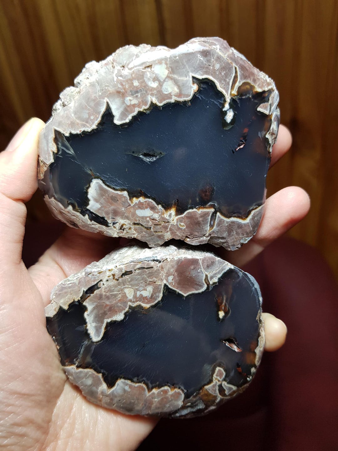 Thunderegg Agate With Dark Blue Center | Rare Polished Gemstone ...