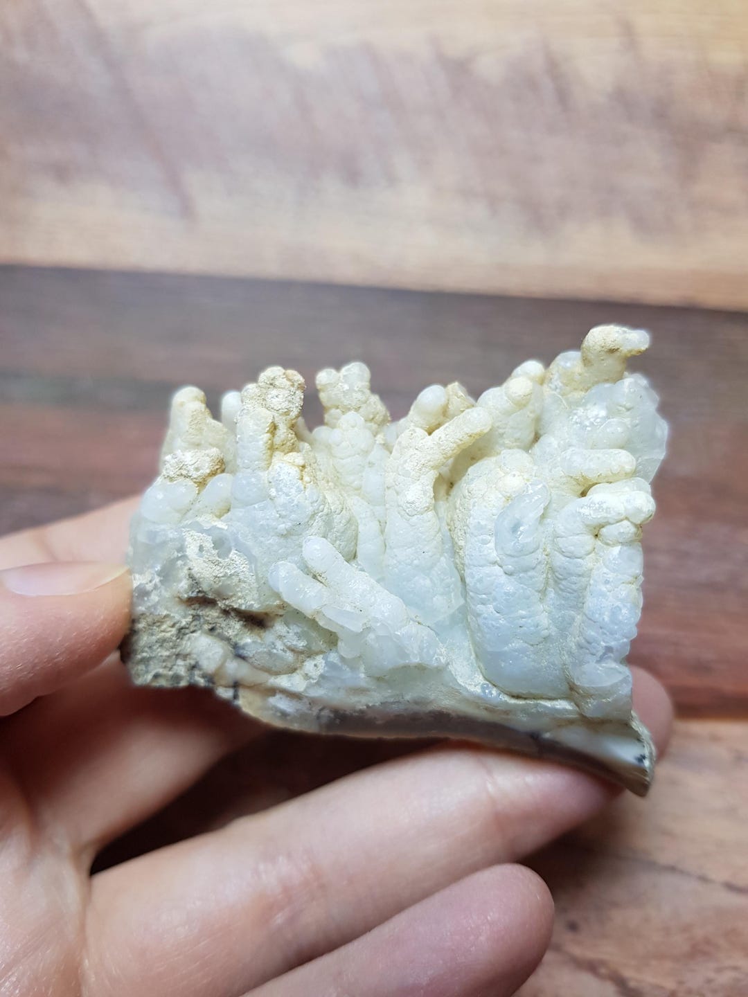 Rare Branching Botryoidal Chalcedony Specimen – Natural Raw Crystal ...