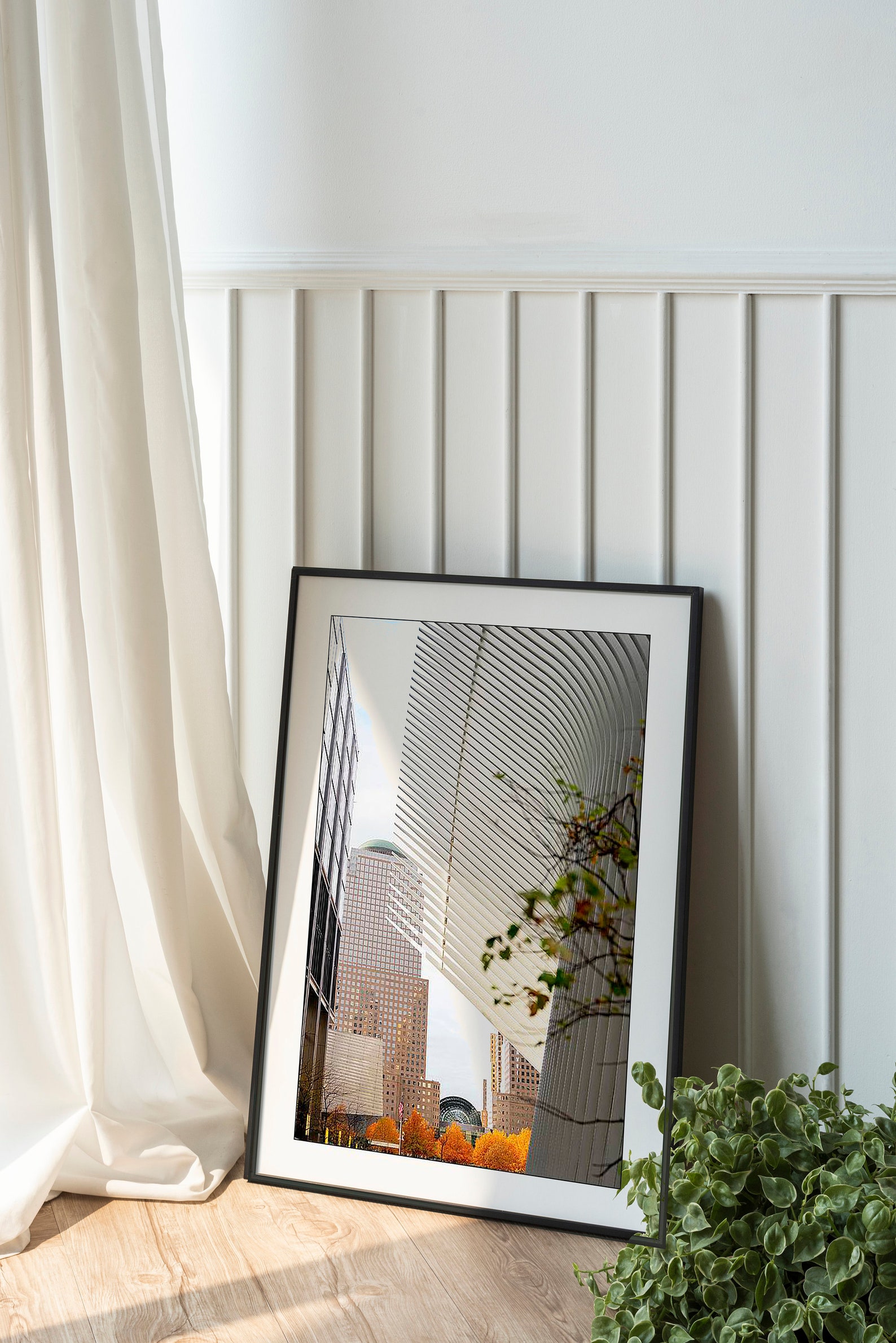 Sunlight Through the Oculus Flying Ribs One World Trade - Etsy