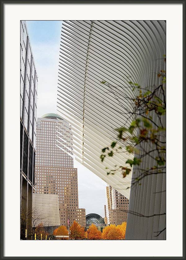 Sunlight Through the Oculus Flying Ribs One World Trade - Etsy