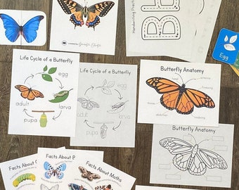 Butterfly Unit: Science Pack - Etsy