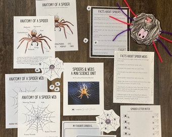 Jumping Spiders Unit Study - Etsy