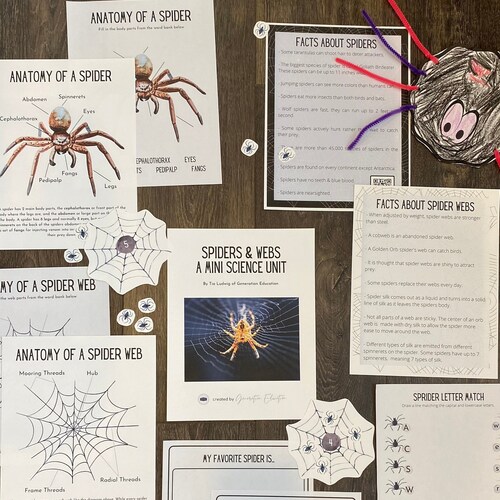 Spiders & Webs Mini Unit - Etsy