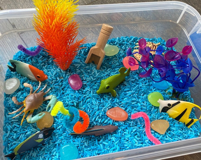 Tropical Fish Sensory Bin / Sensory Kit for Kids / Ocean - Etsy