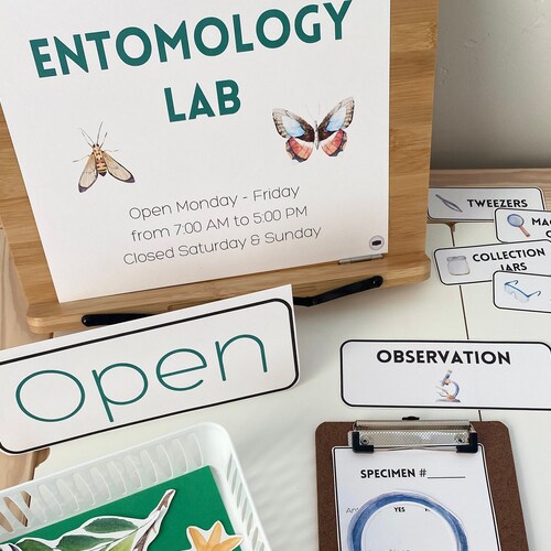Entomology Lab Dramatic Play Printable - Etsy