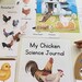 Chicken Mini Unit - Etsy