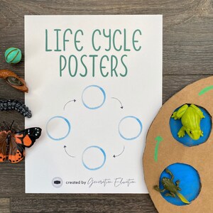 Life Cycle Posters Pack - Etsy