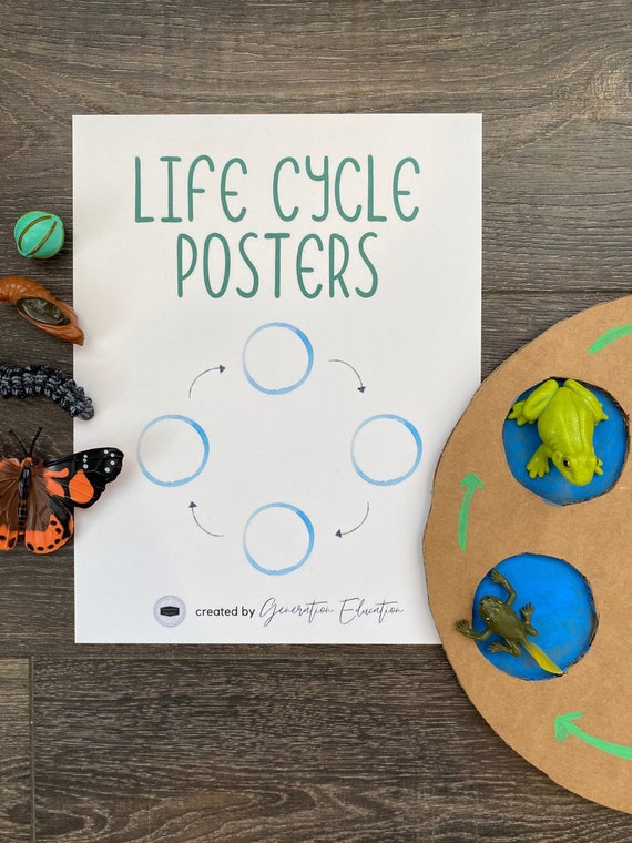Life Cycle Posters Pack | Etsy