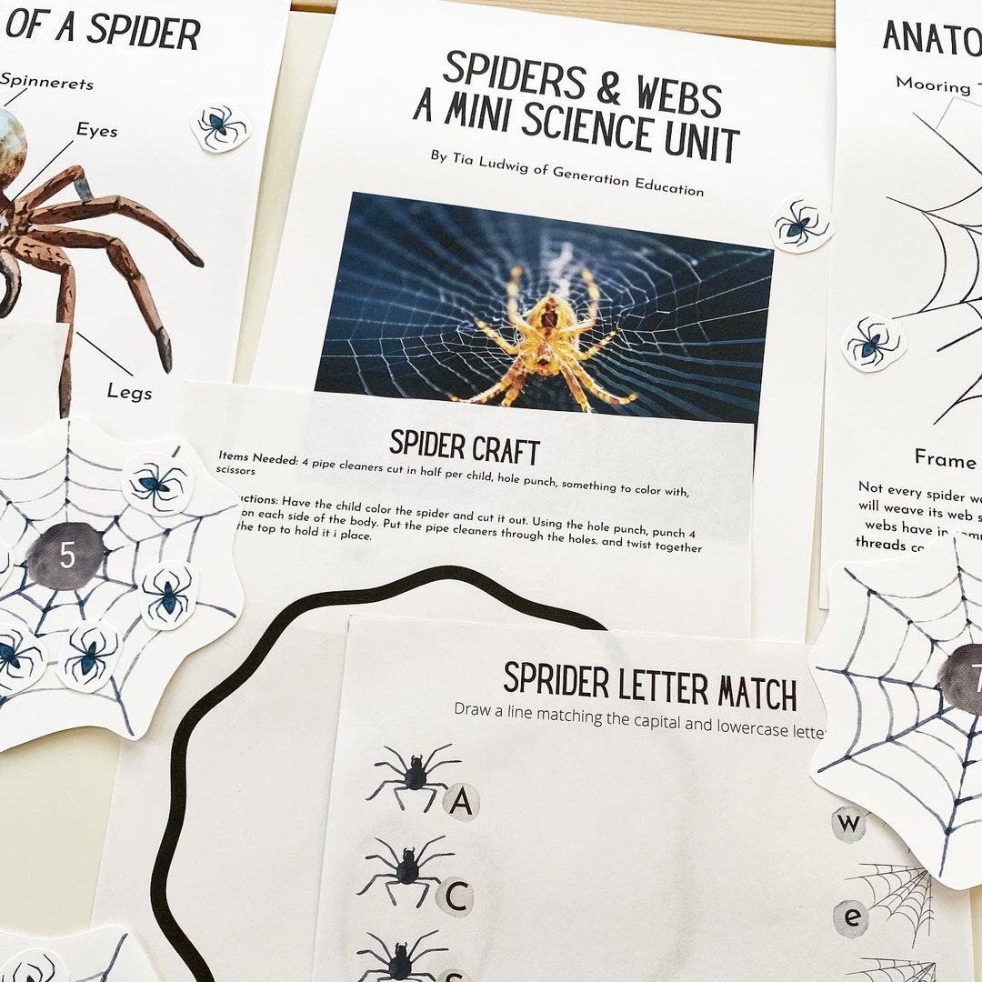 Spiders & Webs Mini Unit - Etsy