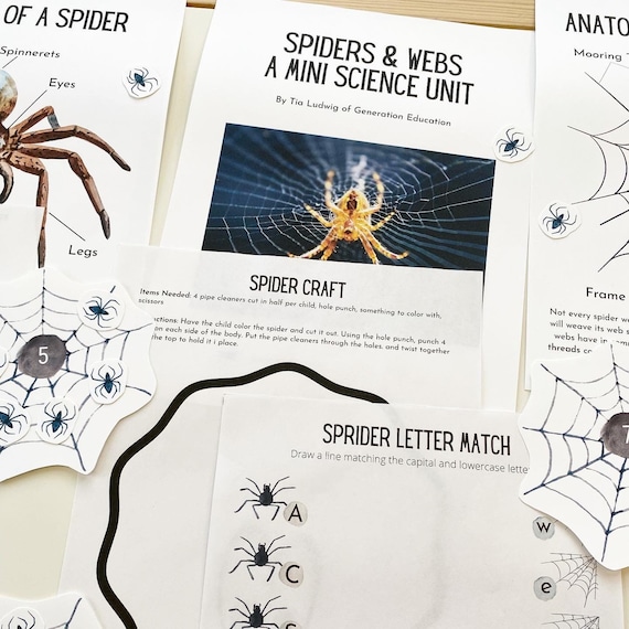 Spider Anatomy Crafts Paper Plate Spiders I Heart Crafty Things