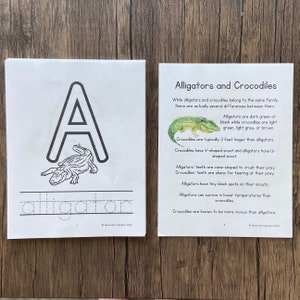 Reptiles Mini Unit - Etsy