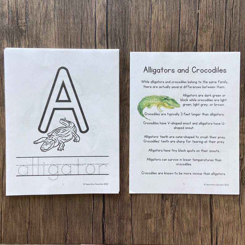 Reptiles Mini Unit - Etsy