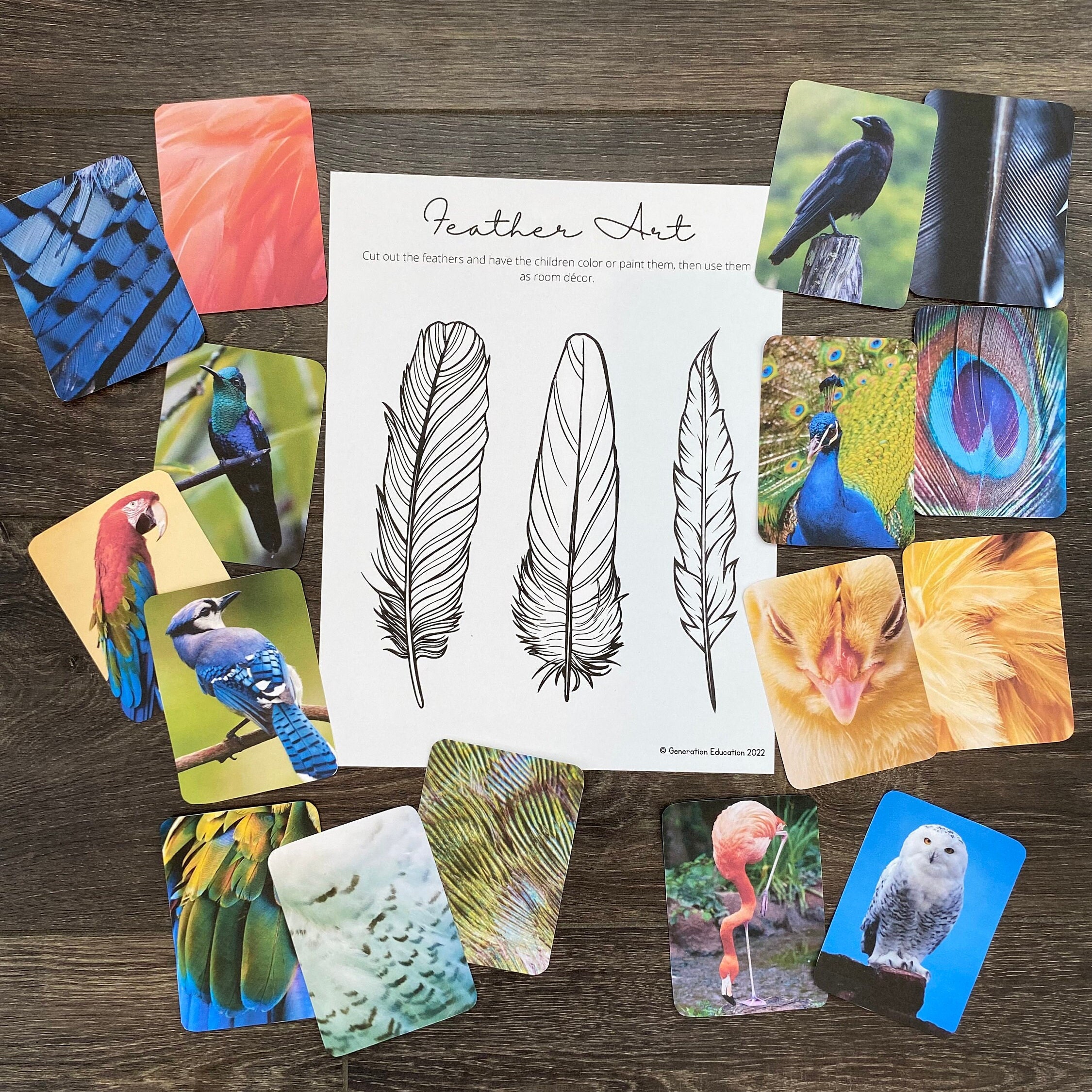 Birds Mini Science Unit - Etsy