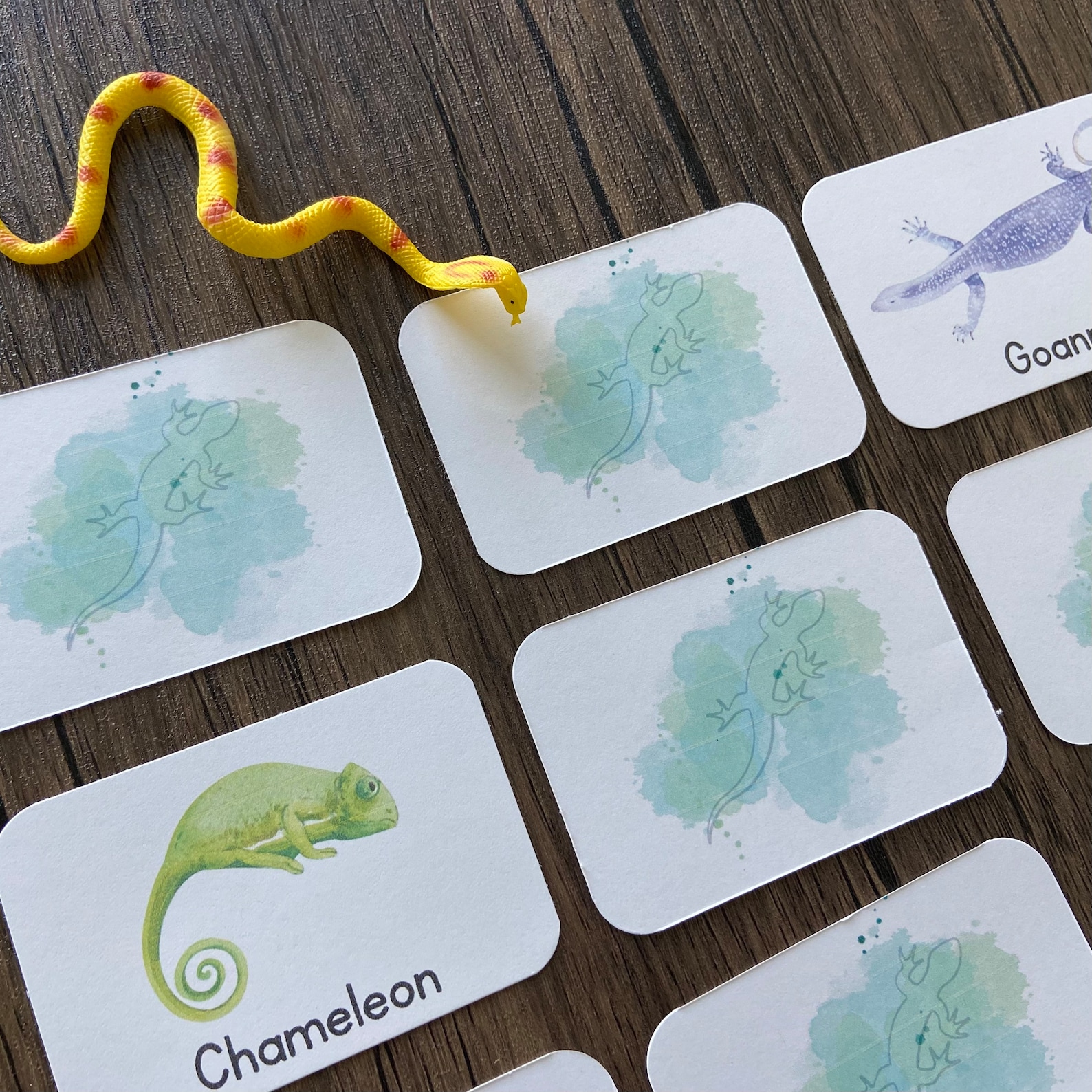 Reptiles Mini Unit - Etsy