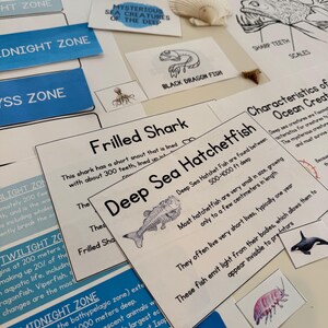Deep Sea Creatures Science Unit - Etsy