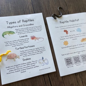 Reptiles Mini Unit - Etsy