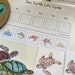 Sea Turtles Mini Science Unit, Sea Turtles Unit, Sea Turtles - Etsy
