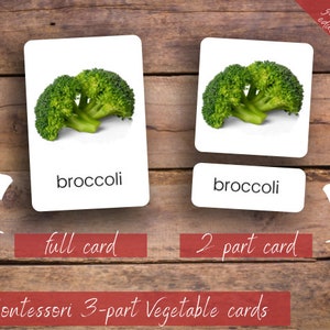 Vegetable Montessori 3-part Flash Cards PDF Download | Etsy