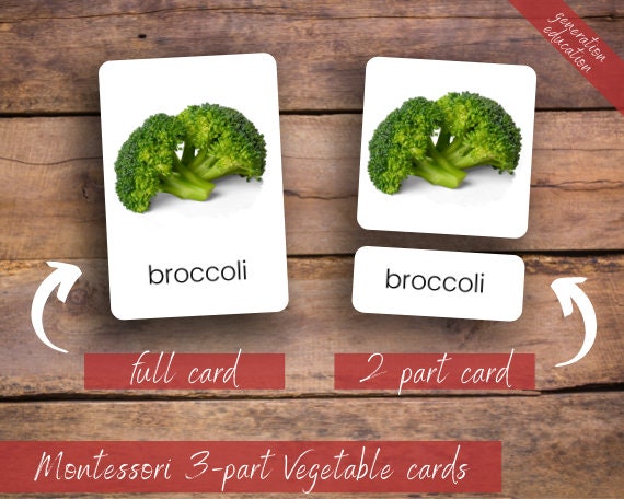 Vegetable Montessori 3-part Flash Cards PDF Download - Etsy