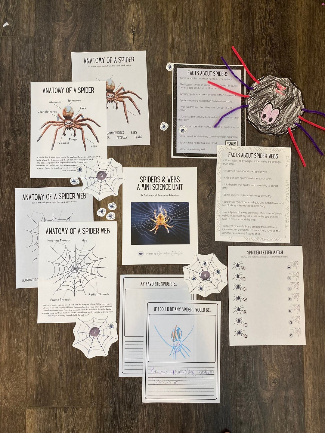 Spiders & Webs Mini Unit - Etsy