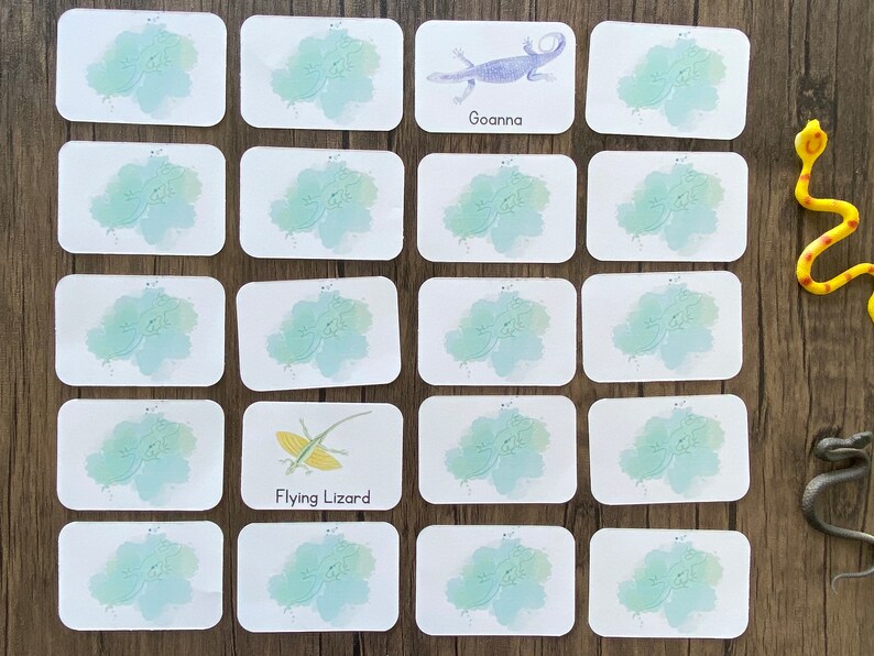 Reptiles Mini Unit - Etsy