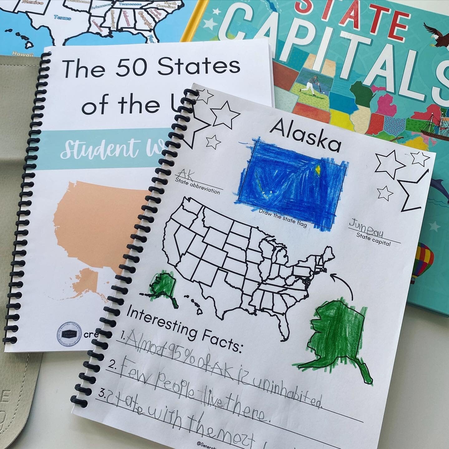 The 50 States of the USA Unit, 50 States Geography Unit, USA States - Etsy