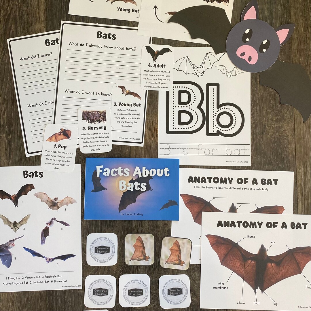 Bats Mini Science Unit - Etsy