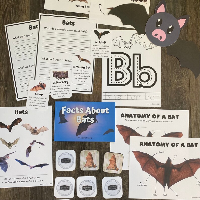 Bats Mini Science Unit - Etsy