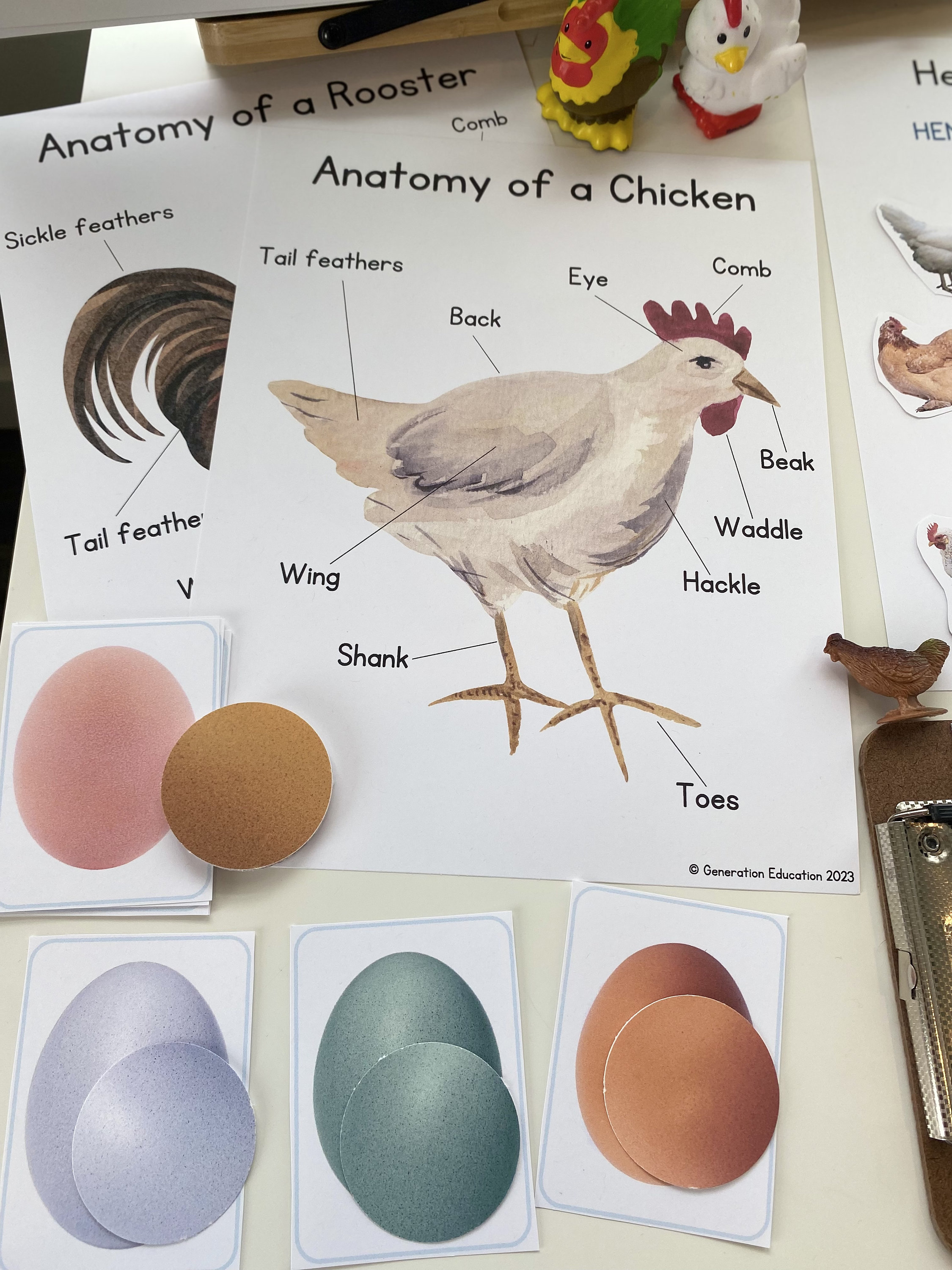 Chicken Mini Unit - Etsy